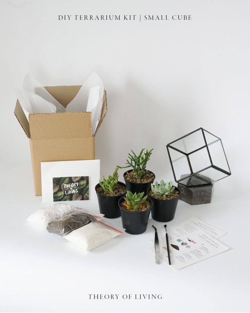 DIY KIT – Small Cube Terrarium – Theory of Living